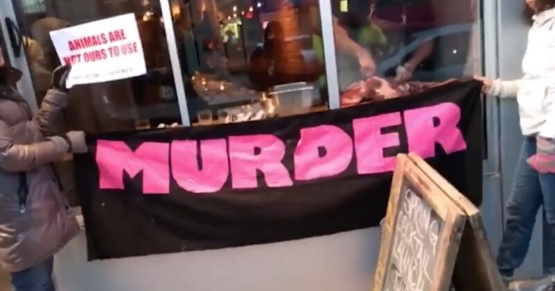 Vegans Protesting Against Restaurant Are Horrified By Owner’s Revenge