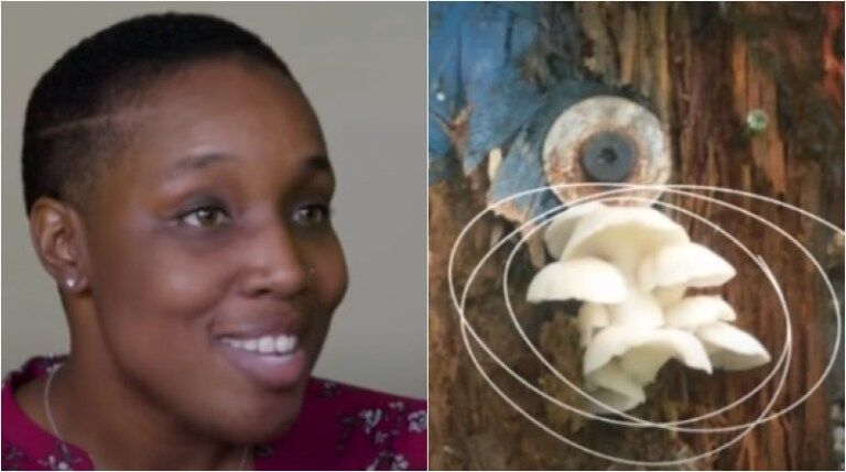 ‘Rotten Fraud’: Brad Pitt ‘Ghosts’ Hurricane Victims Who Bought Homes