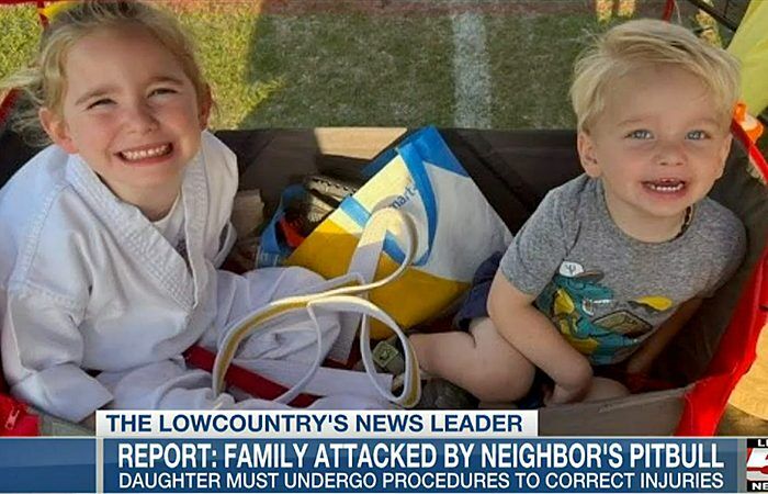 Mom And 2 Kids Attacked By Neighbor’s Pet After Helping Elderly Woman